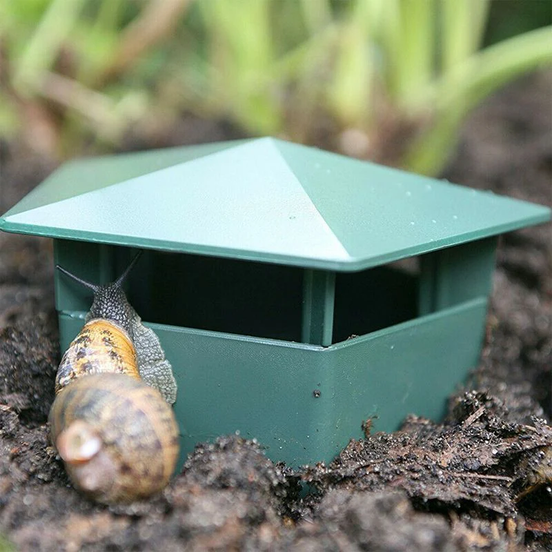 Snail Traps in Malta & Gozo | Effective Solutions for Garden Pests